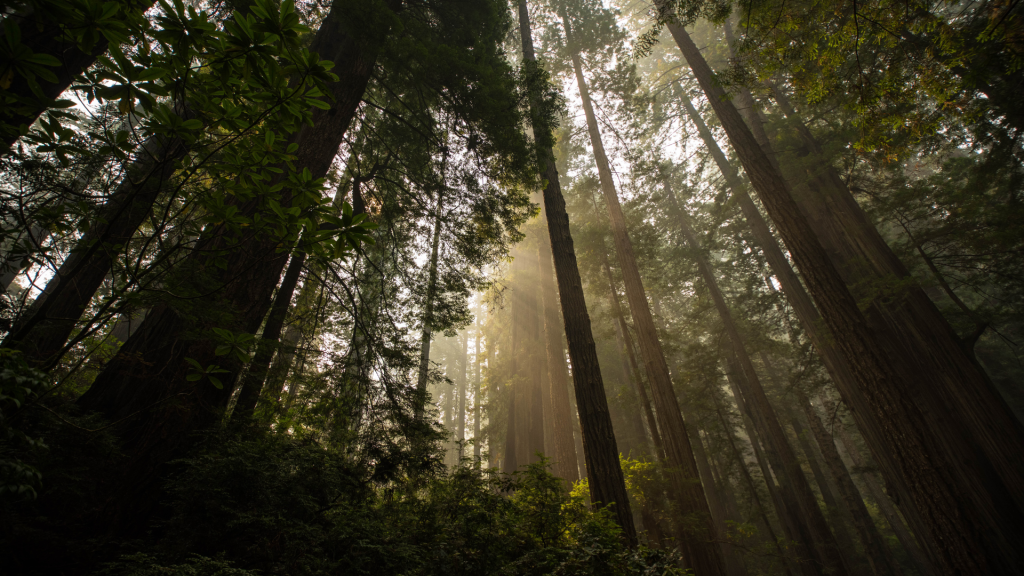 Special VAT Territories in the EU – A Guide for Online Sellers