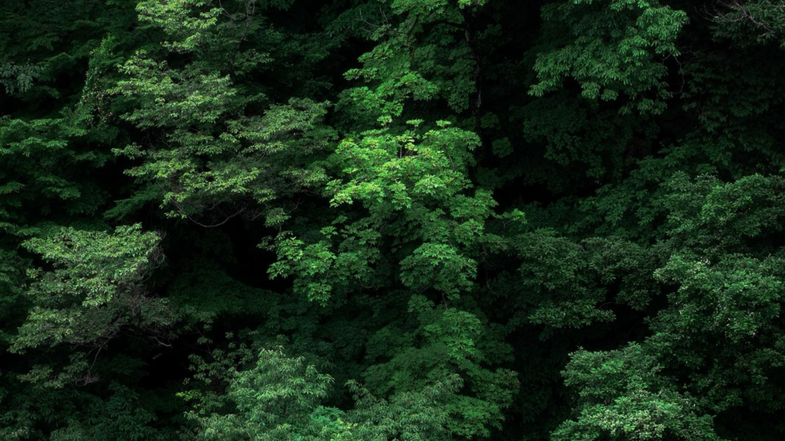 Special VAT Territories in the EU – A Guide for Online Sellers