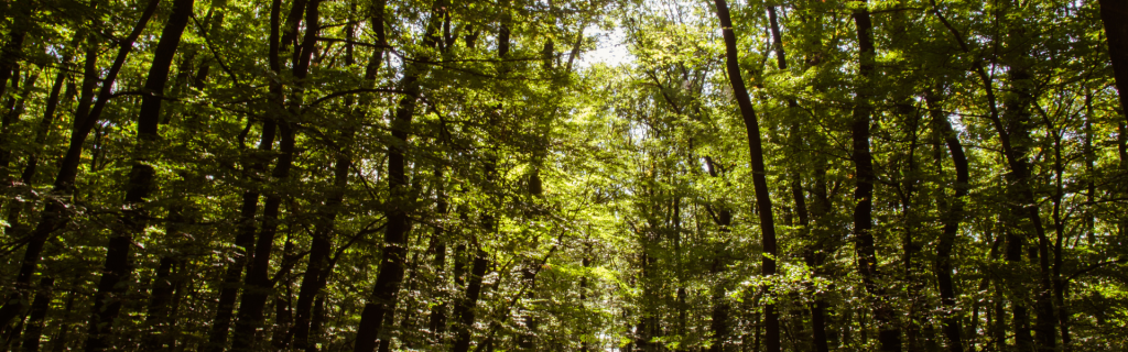 Special VAT Territories in the EU – A Guide for Online Sellers